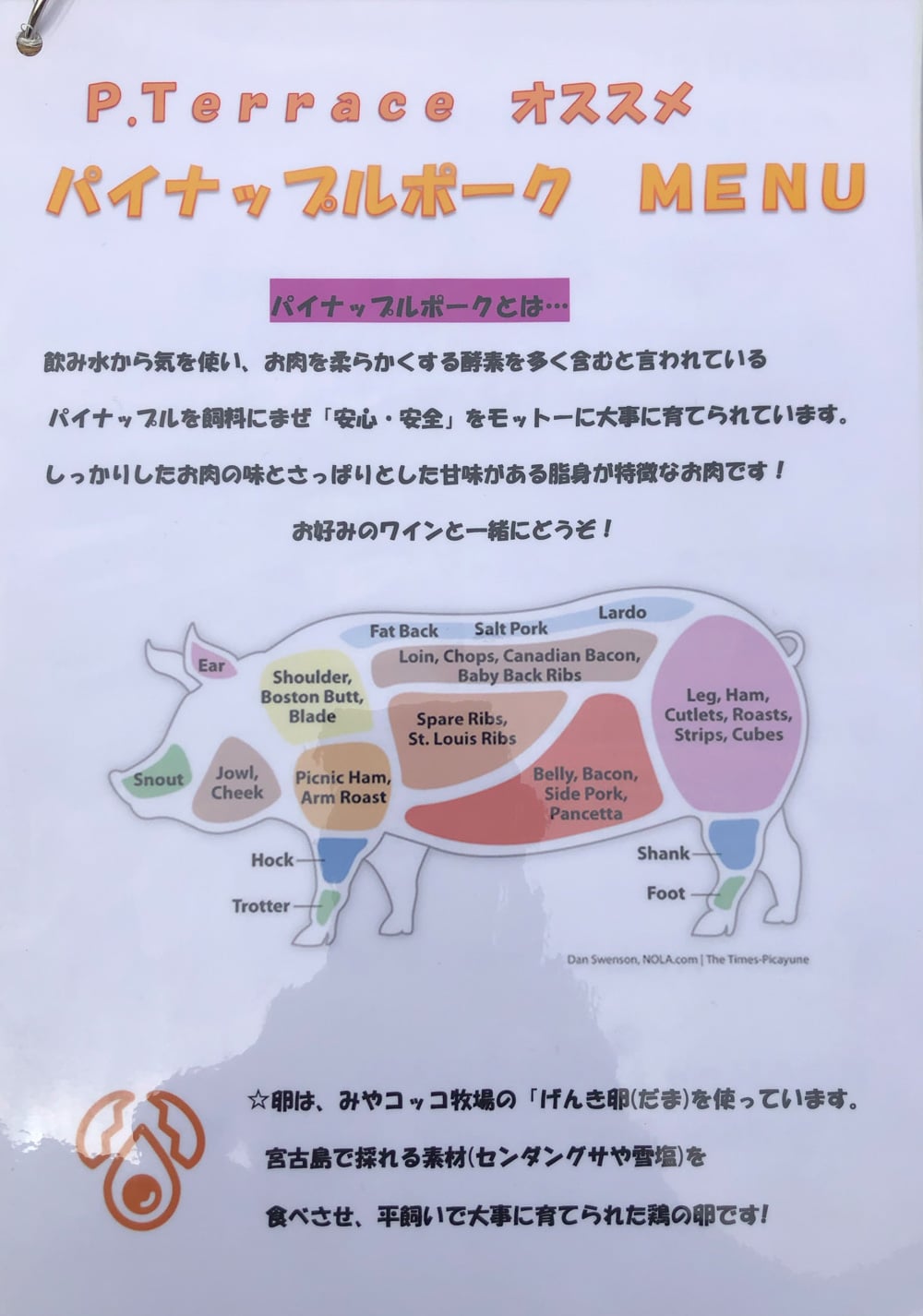 vol.005 オーシャンビューの飯バル「Paina Terrace」（パイナテラス）