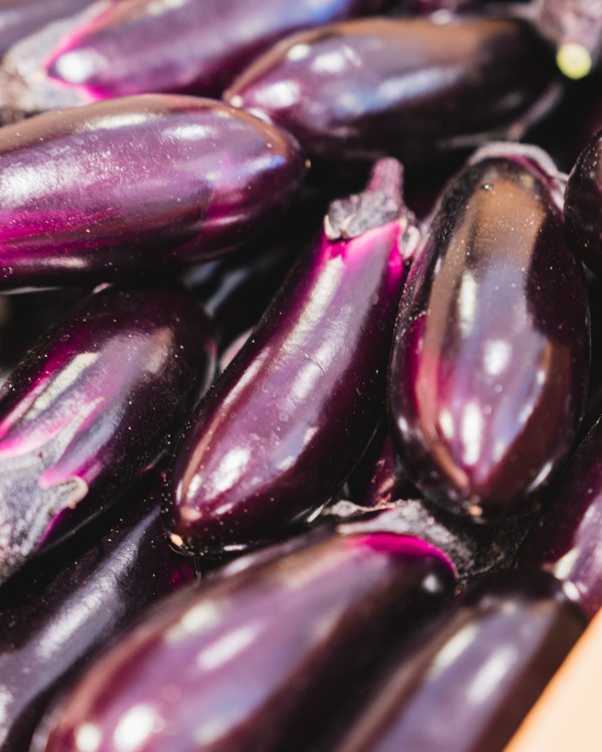 vol.187 “庭”で感じる宮古島の旬の鼓動「パスタハウス 庭 NIWA」