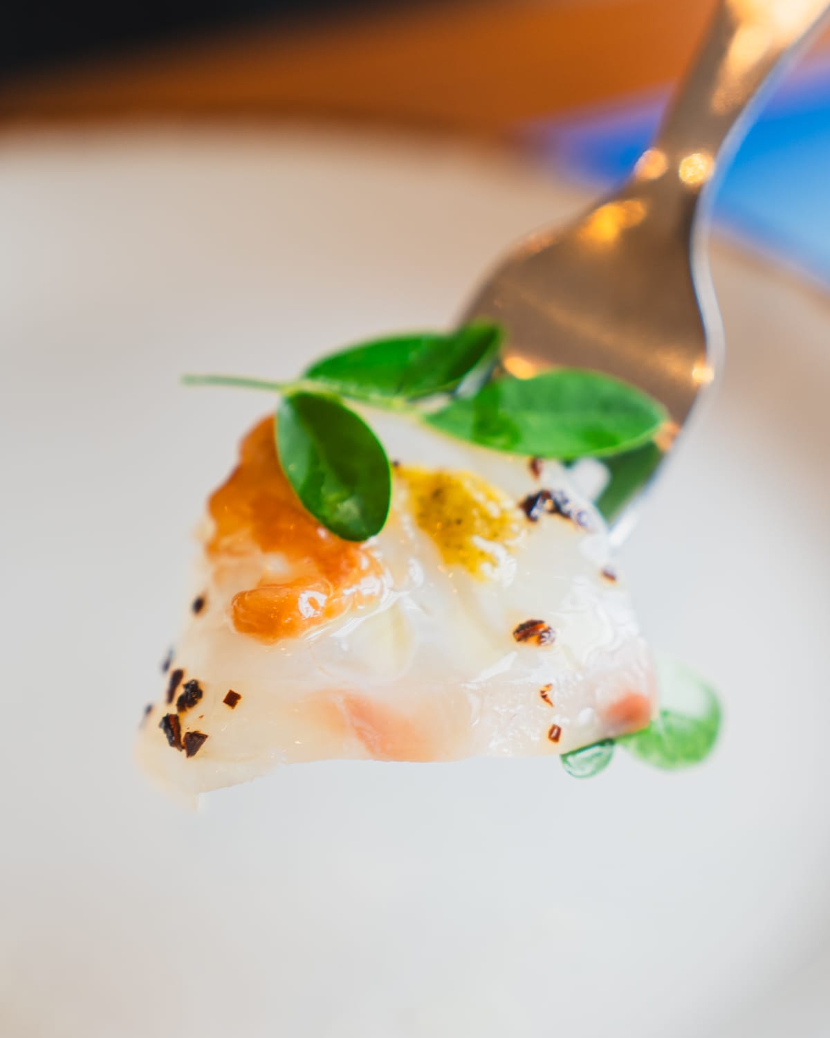 vol.187 “庭”で感じる宮古島の旬の鼓動「パスタハウス 庭 NIWA」